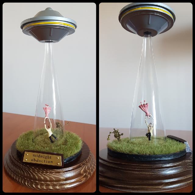 The Extraterrestrial Series | UFO & Alien Diorama